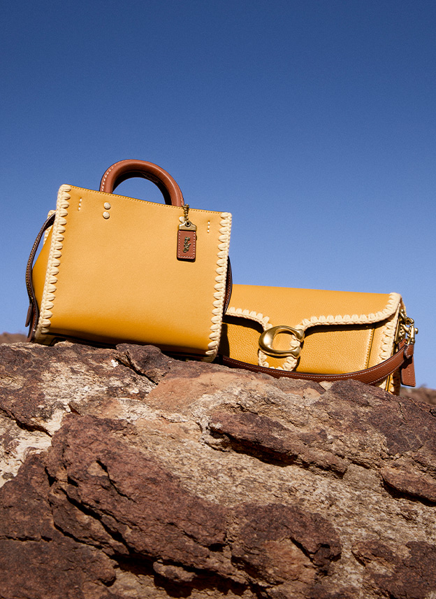 COACH Insider Program | COACH®